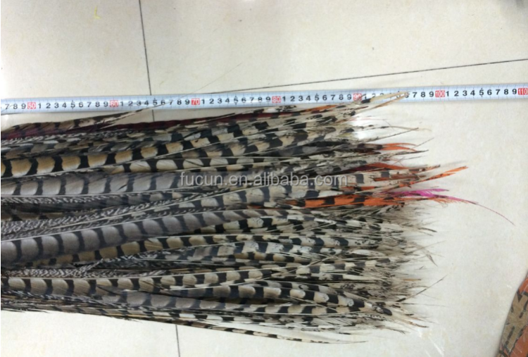 Buy Wholesale China Feathers Factory Made Sizes Lady Pheasant Long ...