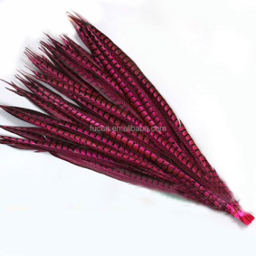 Buy Wholesale China Feathers Factory Made Sizes Lady Pheasant Long ...