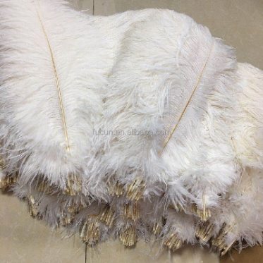 Buy Wholesale China Feathers Factory Made Sizes Lady Pheasant Long ...