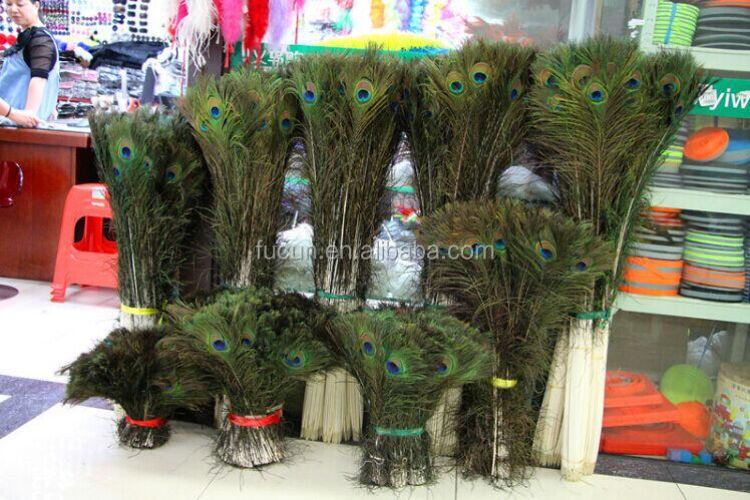 Buy Wholesale China Feathers Factory Made Sizes Lady Pheasant Long ...