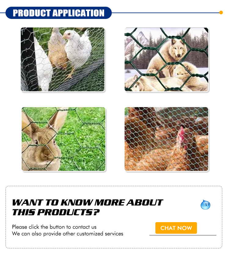 Durable Small Diameter Chicken Wire Mesh Crawfish / Lobster / Fish Trap ...