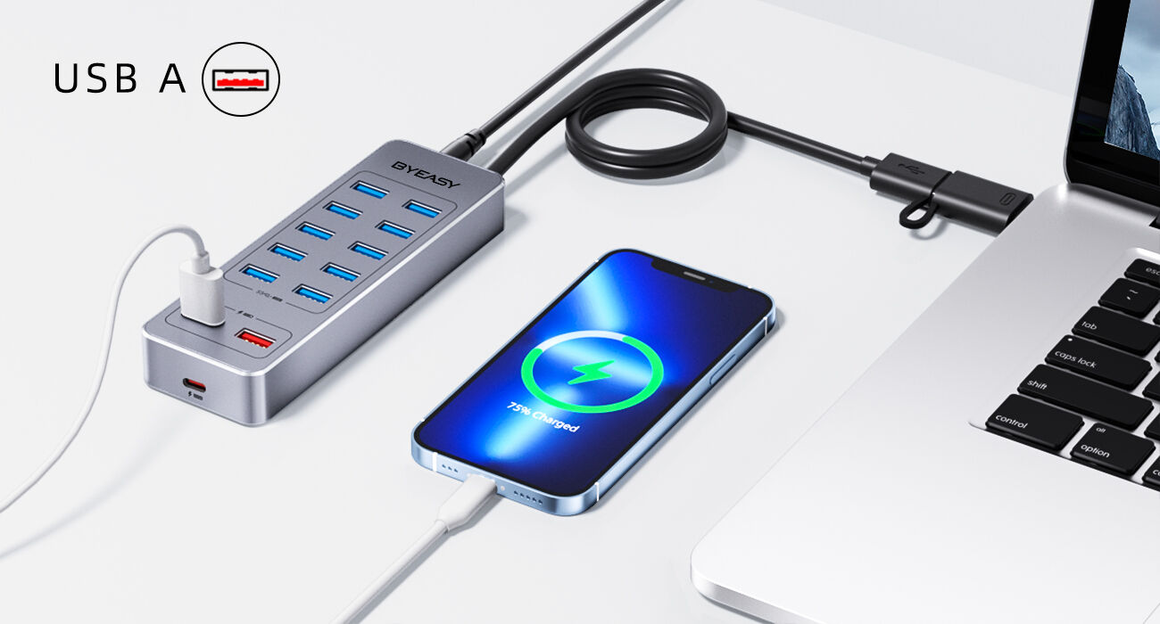 Odm Oem Usb C Hub A To C-10*usb3.0 2*usb A Qc3.0 Usb C 5v/3a ...