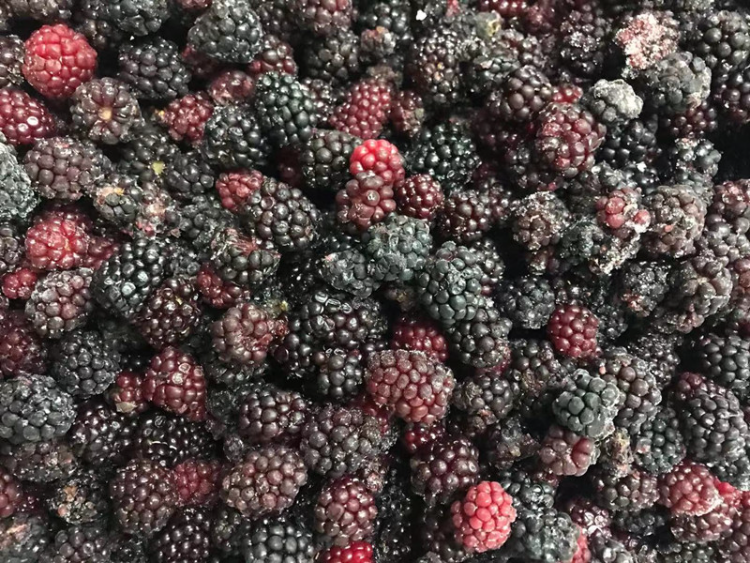 Bulk Buy China Wholesale High Quality 100% Natural Products Iqf Organic ...