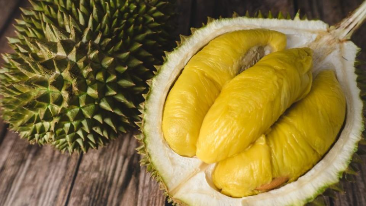 Grade Premium Frozen Durian Fruit Wholesale Price Export Vietnam Famous ...
