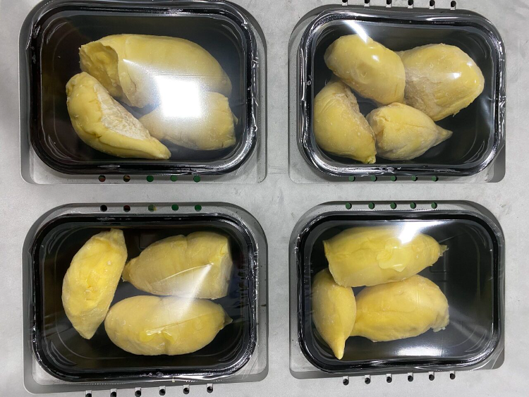 Grade Premium Frozen Durian Fruit Wholesale Price Export Vietnam Famous ...