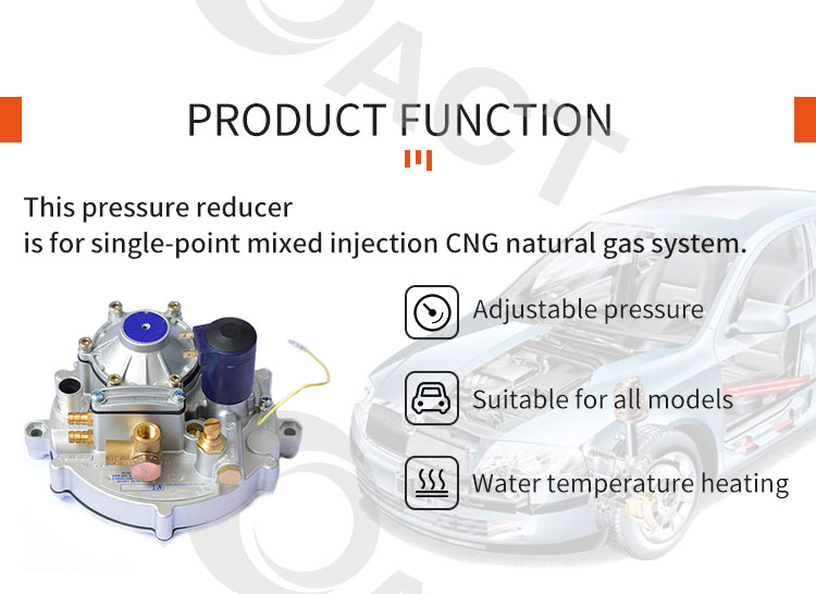 Sichuan Gas Cylinder Efi Kit Carburator Conversion Kits Ta98 Ngv ...