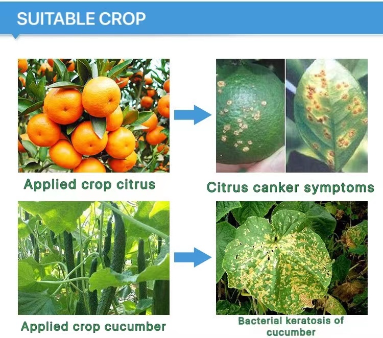 Tebuconazole 43%sc Agrochemical Chemical Fungicide Trifloxystrobin 50 ...