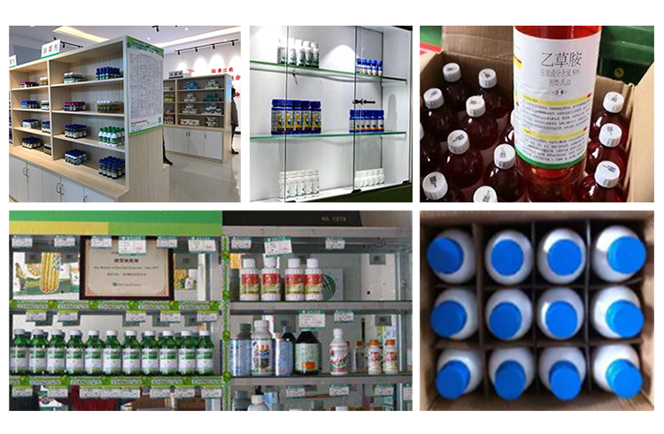 Tebuconazole 43%sc Agrochemical Chemical Fungicide Trifloxystrobin 50 ...