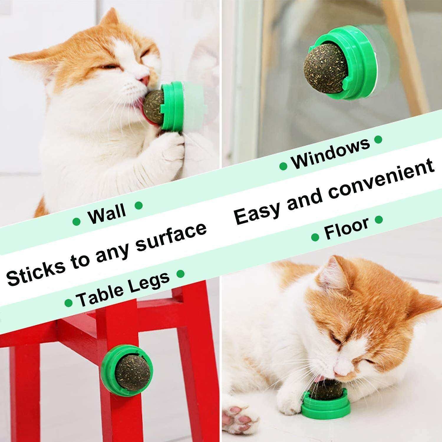 Buy Wholesale China Catnip Balls Edible Kitty Toys Cat Wall Treats Safe Healthy Kitten Chew ...