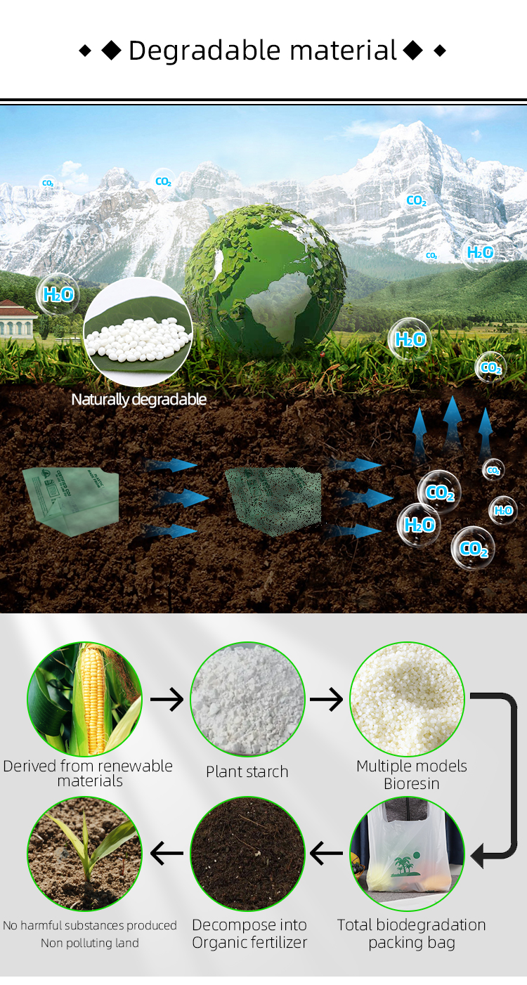 Bulk Buy China Wholesale Wholesale Compostable Organic Pla Disposable ...
