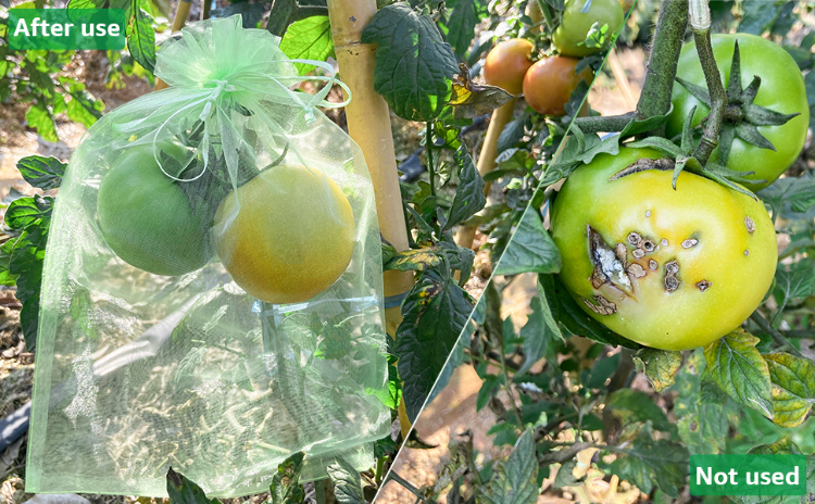 Fruit Protection Netting Bags For Fruit Trees Cover Mesh Bag With ...