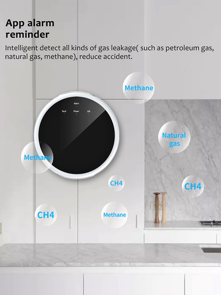 Buy Wholesale China Staniot Customized Tuya Wifi Natural Gas Sensor Combustible Household Smart ...