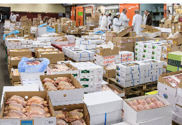 Brazilian Frozen Chicken Paws, Frozen Chicken Feets, Frozen Chicken ...