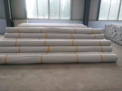 Buy Wholesale China Polyester Geogrid Reinforcement Geogrid / Ground ...