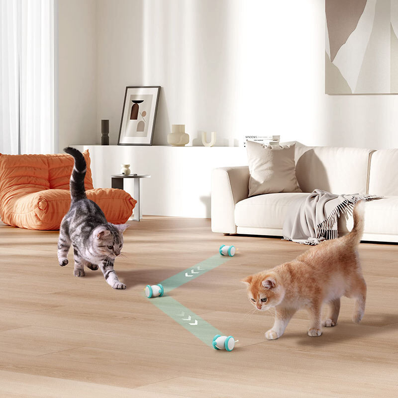 Electric Smart Interactive Self-moving Playing Indoor Training ...