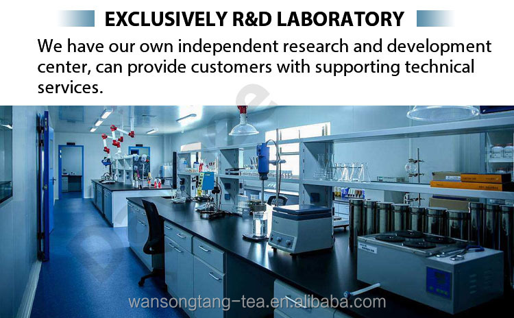 Private Label Creatine Monohydrate Energy Gummy Candy Weight Gain ...