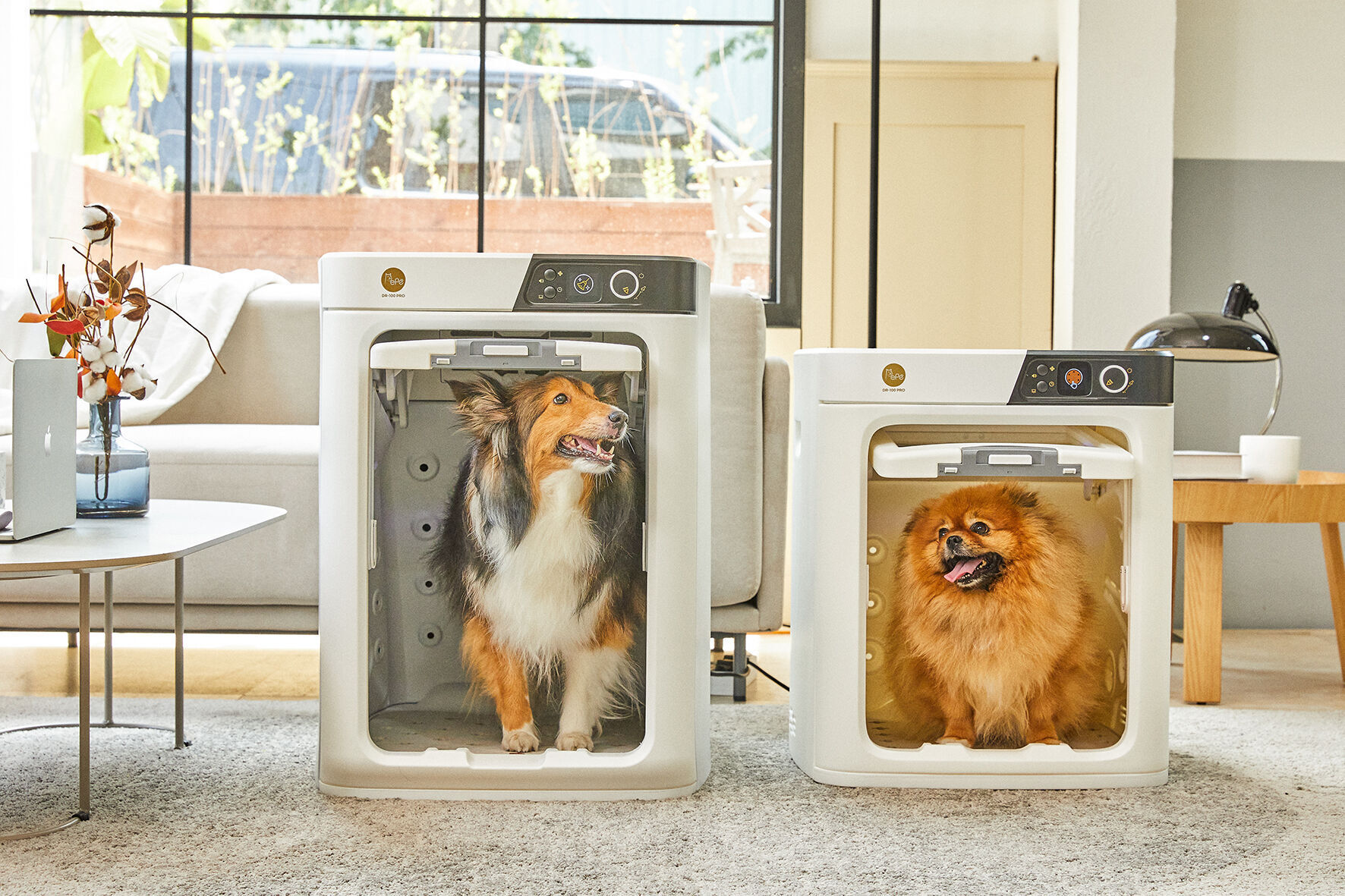 Buy Wholesale South Korea Pepe Pet Dry Room Is A Machine With Dry, Care ...