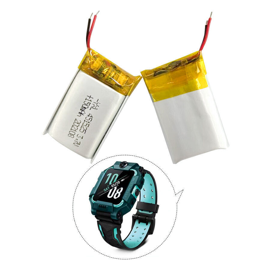 Buy Wholesale China Chinese Professional Lithium Polymer Battery ...