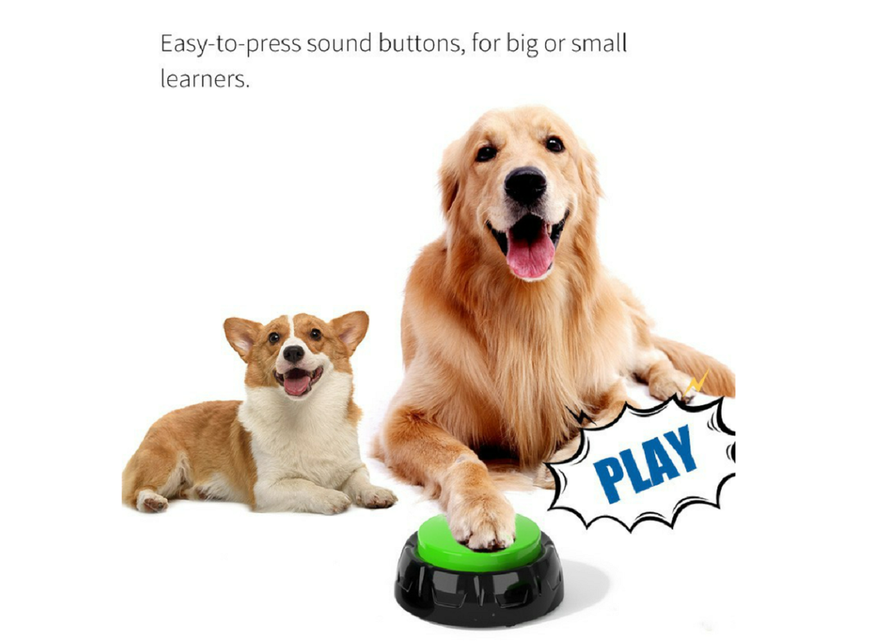 Buy Wholesale China Newly Upgraded Recordable Dog Talking Buzzers Pet ...