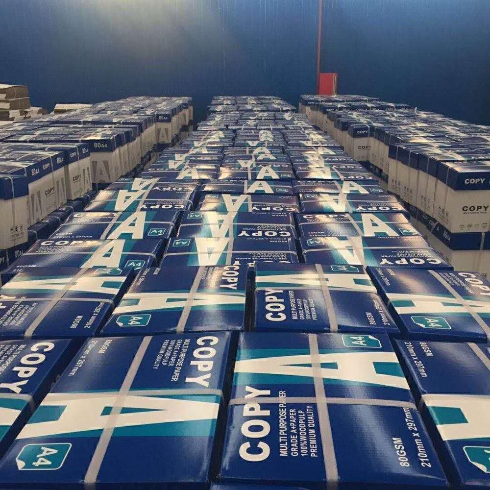 Buy Wholesale United Kingdom 80gsm A4 Copy Papers / Office Paper ...