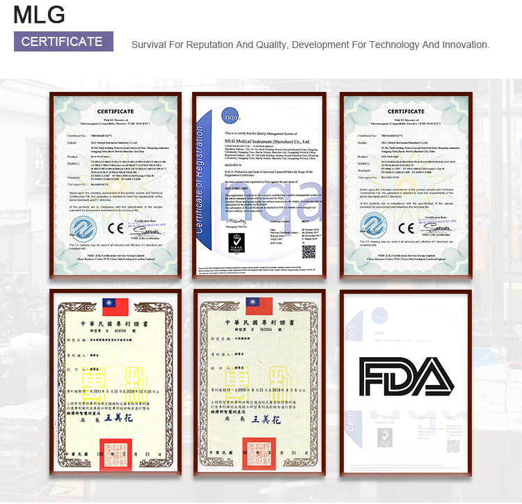 Buy Wholesale China Mlg Medical Dental Instrument 3d Video Focus Dental ...