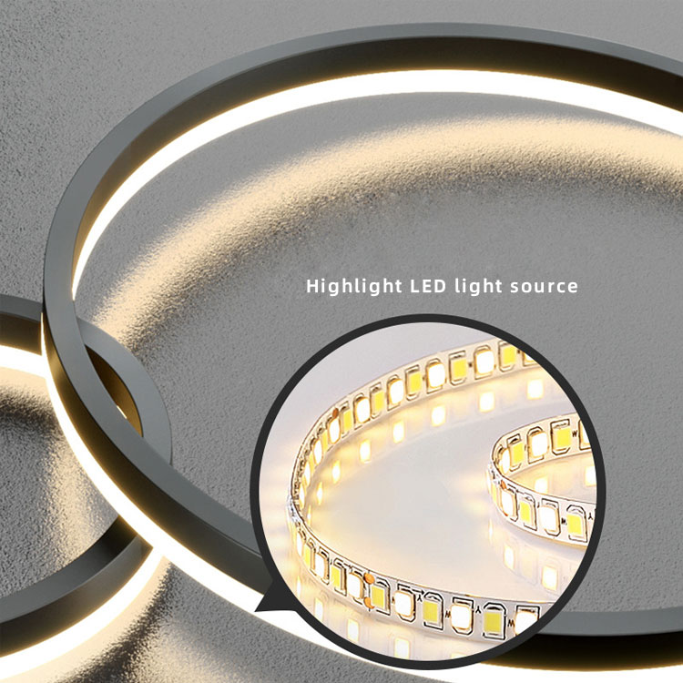 Contemporary Minimalist Circle Hanging Light Decorative Ceiling Round ...