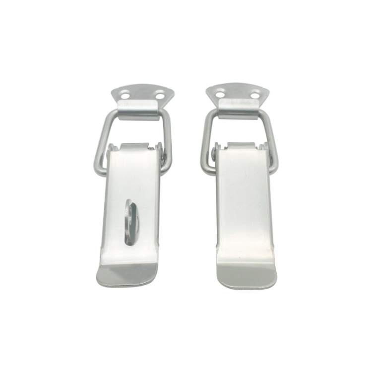 Buy Wholesale China Factory Directly 304 Stainless Steel Hasp Spring ...