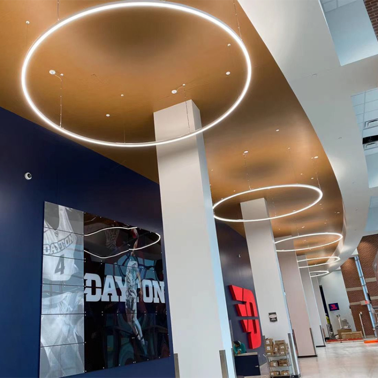 Custom Color Black Dia900mm 1/2 Ring Hanging Arc Linear Light Half ...