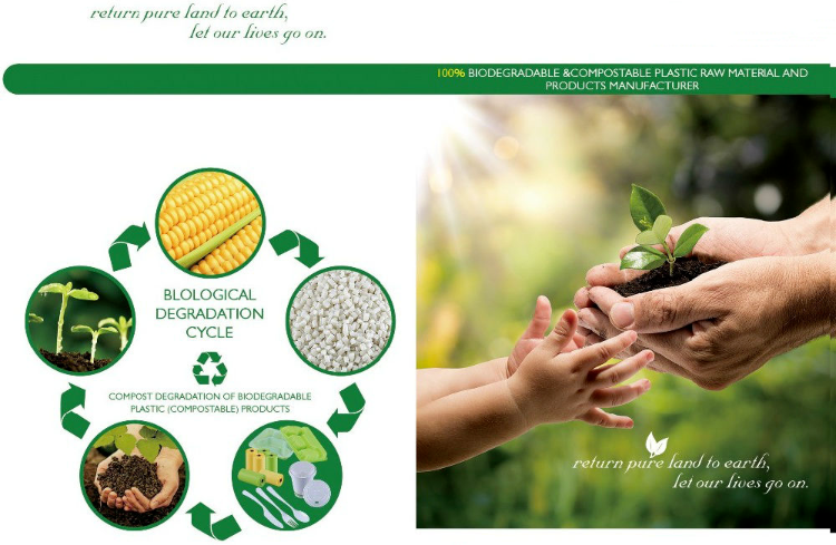 Wholesale Bulk Food Grade Eco Friendly Biodegraded Cornstarch Pla ...