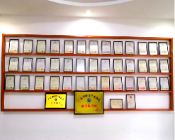 Automatic Fast And High Efficiency Container Loading Equipments And ...