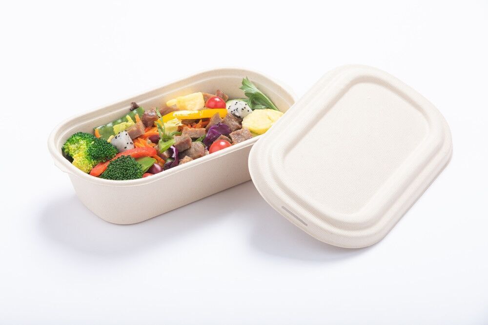 Biodegradable Disposable Meal Prep Containers Bagasse Sugarcane ...