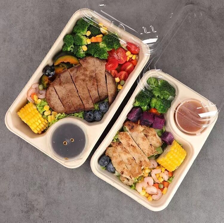Biodegradable Disposable Meal Prep Containers Bagasse Sugarcane ...