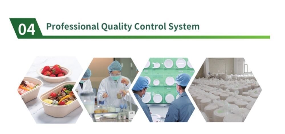 Bulk Buy China Wholesale Biodegradable Takeaway Food Packaging Bagasse ...