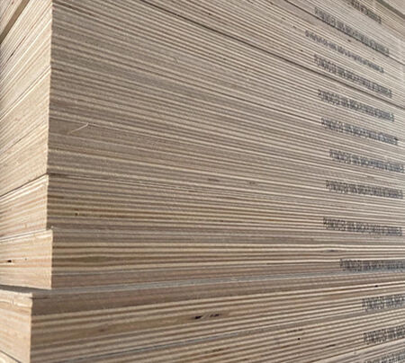 Good Service Ex-one Single 10'' Coaxial Waterproof Professional Audio ...