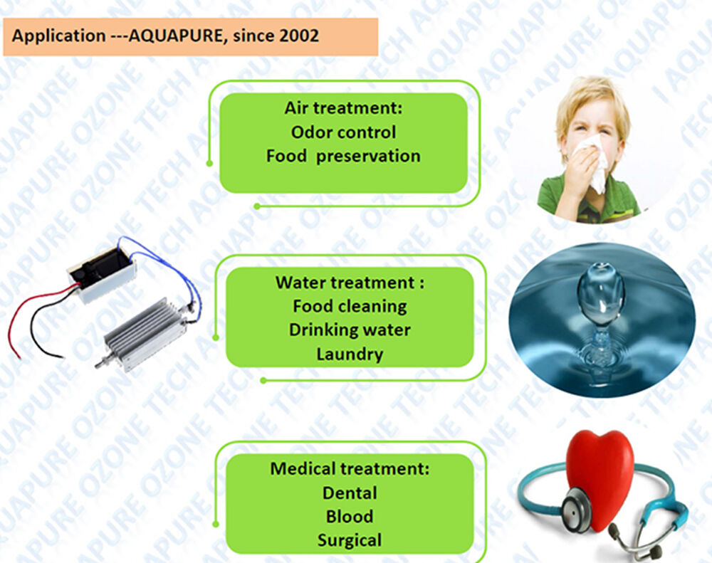 Buy Wholesale China Aquapure German Tech 700mg Ozone Generator Module ...