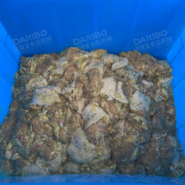 Buy Wholesale China Meat Tumbler Vacuum Marinator Beef Brisket ...