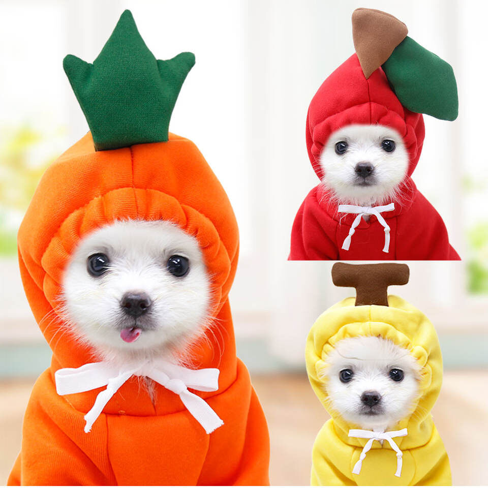 Buy Wholesale China Designer Pet Clothes Fruit Puppy Clothes Warm ...