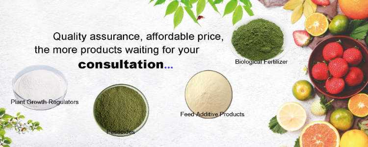 95% Tc Meperfluthrin Transfluthrin For Mosquito Coil With Powder And ...