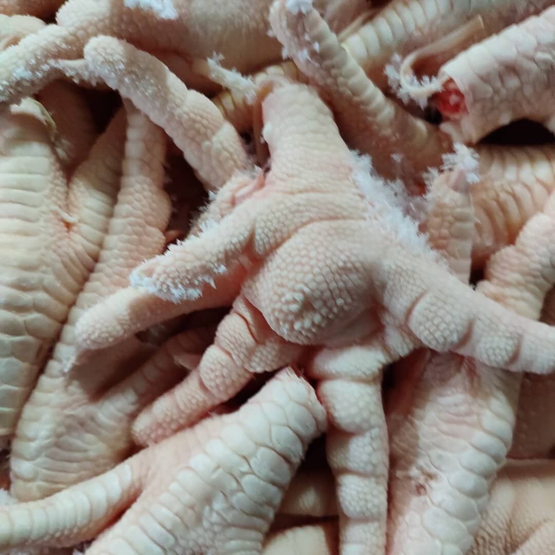 Bulk Buy United States Wholesale Halal Best Grade Chicken Feet / Frozen ...