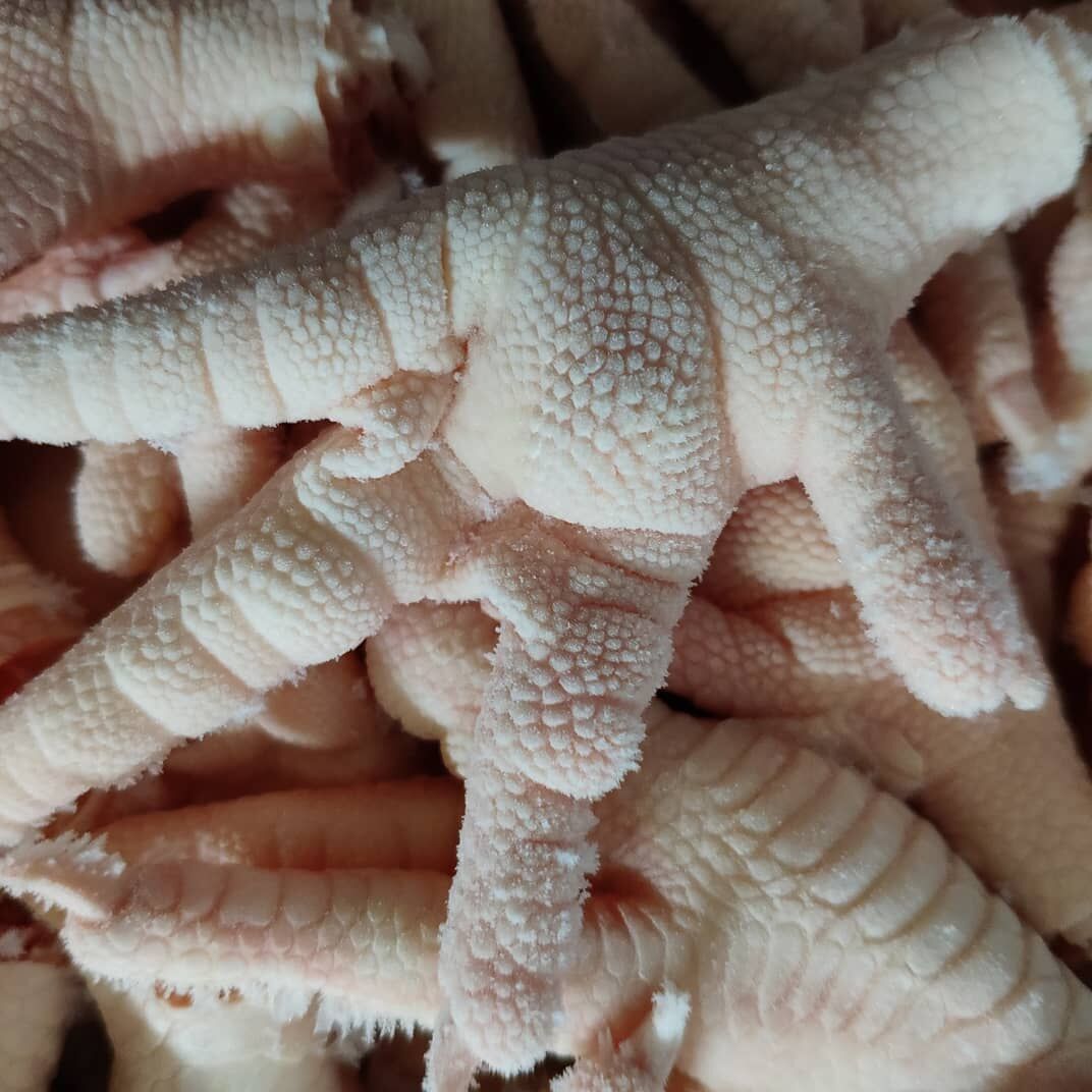 Buy Wholesale United States Frozen Chicken Paws, Chicken Feet, Chicken ...