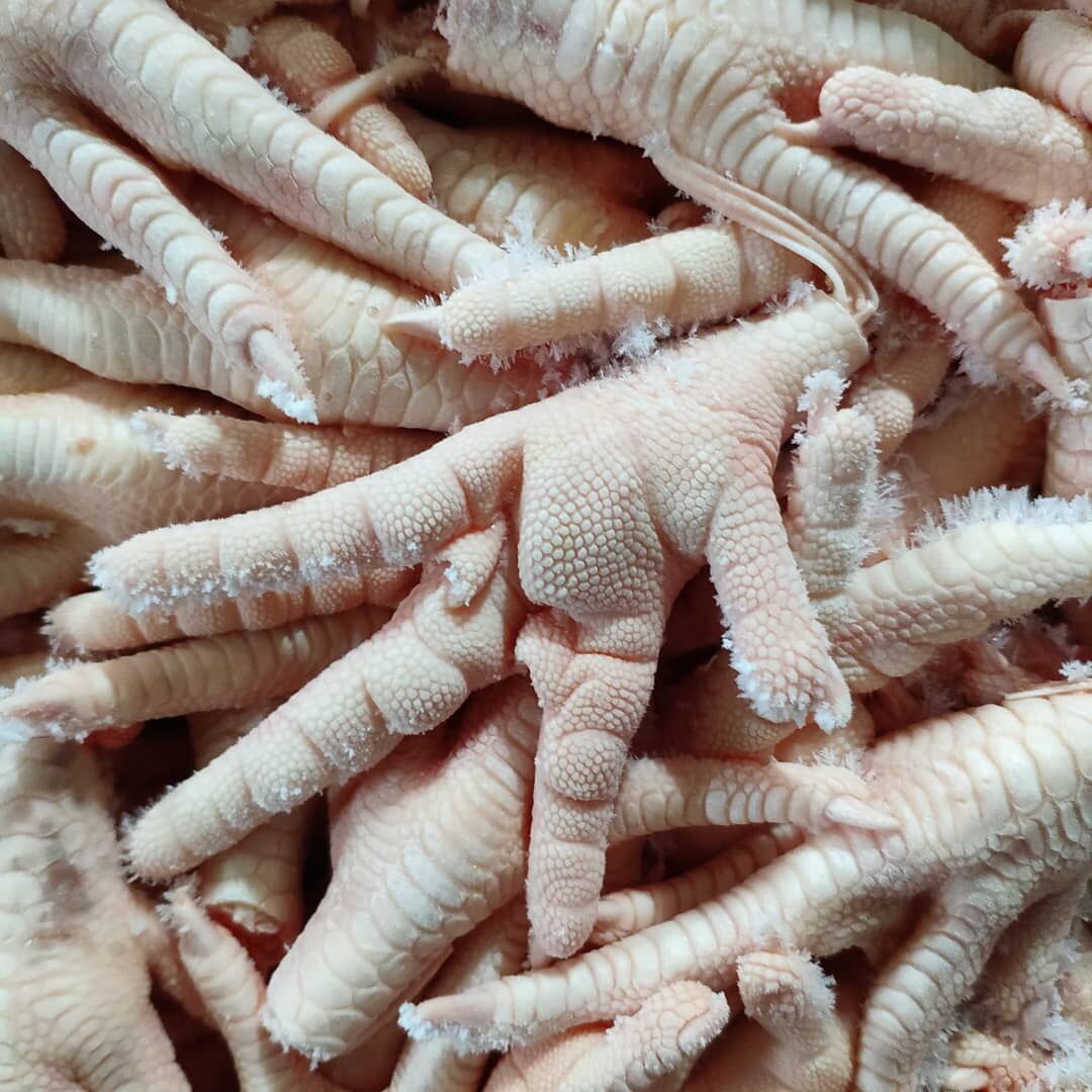 Buy Wholesale United States Frozen Chicken Paws, Chicken Feet, Chicken ...