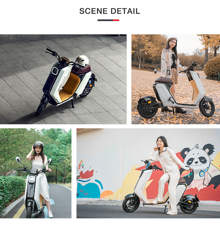Adult High Speed Long Range Electric Moped Motor Scooters Mopeds Bike ...