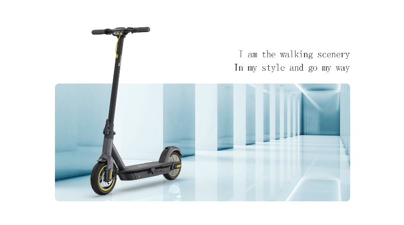 Buy Wholesale China Tomoloo L1 Max 10 Inch Electric Scooter 350/500w ...
