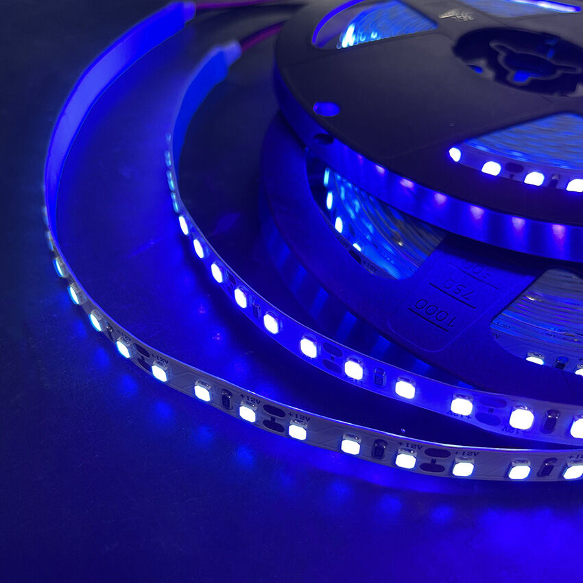 Buy Wholesale China Dc 5v 12v 24v 2835 5050 Waterproof Flexible Uv Uva ...