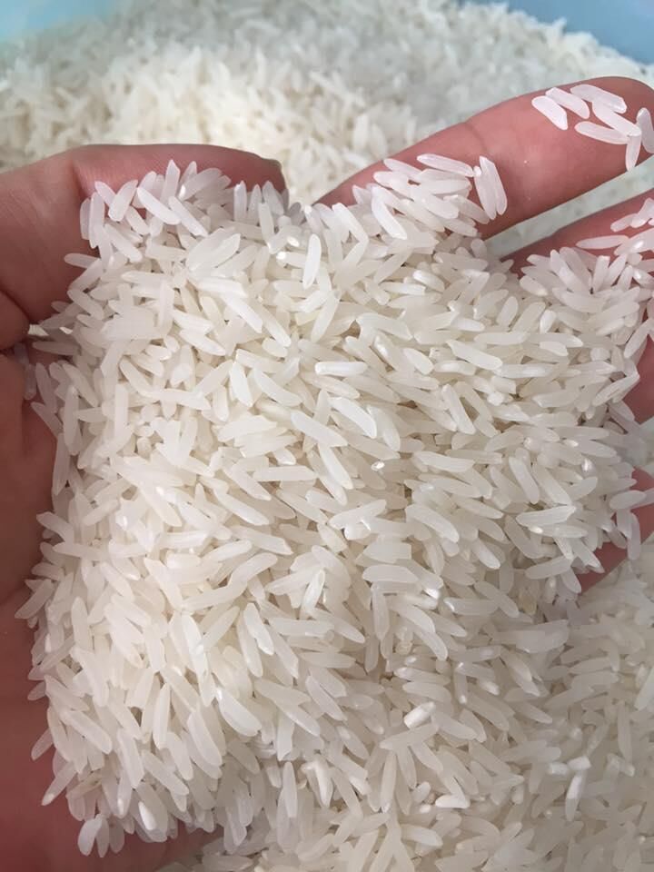 Factory Direct High Quality Thailand Wholesale Premium Jasmine Rice ...