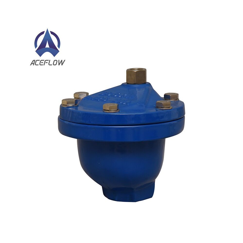 Ductile Iron Screwed End Automatic Air Control Valve, Air Release Valve ...