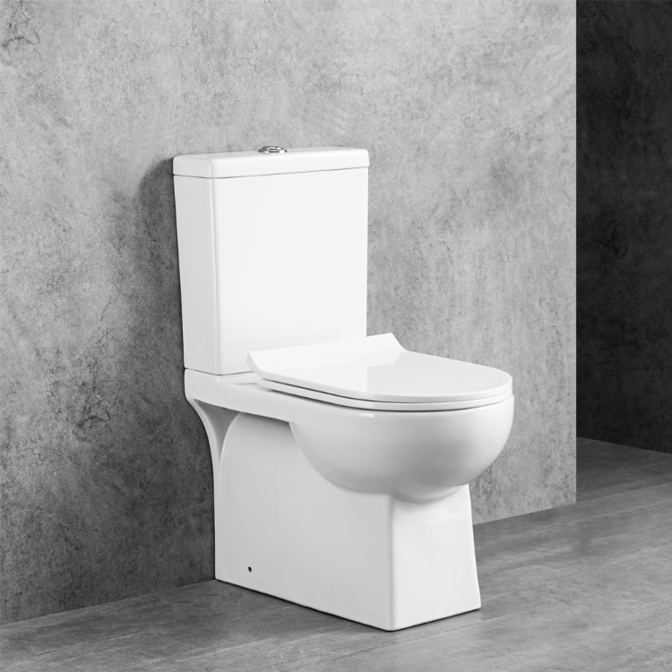 Buy Wholesale China New Design Ceramic Two Piece Washdown P Trap Toilet ...