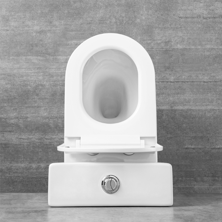 Buy Wholesale China New Design Ceramic Two Piece Washdown P Trap Toilet ...