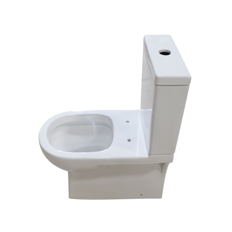 Buy Wholesale China New Design Ceramic Two Piece Washdown P Trap Toilet ...