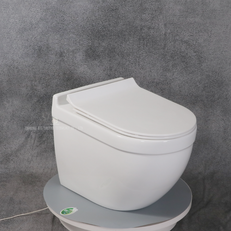 Buy Wholesale China Ceramic Japanese Style Wc Toilet Luxury Sanitary ...